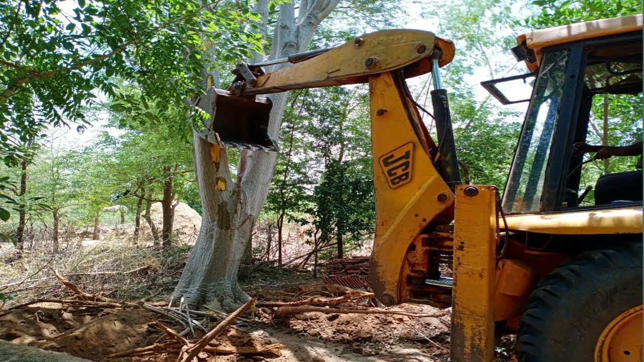 JCB VS BIG TREE - Powerful JCB Pushing Down a Big Tree - JCB 3DX ...