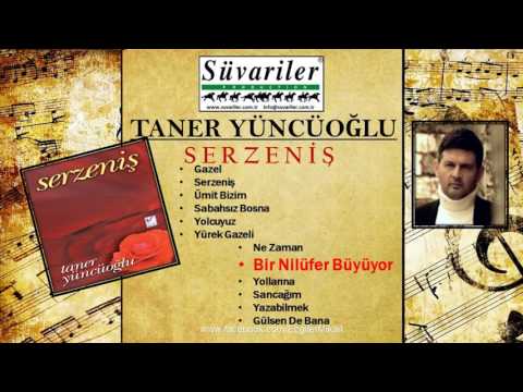 TANER YÜNCÜOĞLU - BİR NİLÜFER BÜYÜYOR