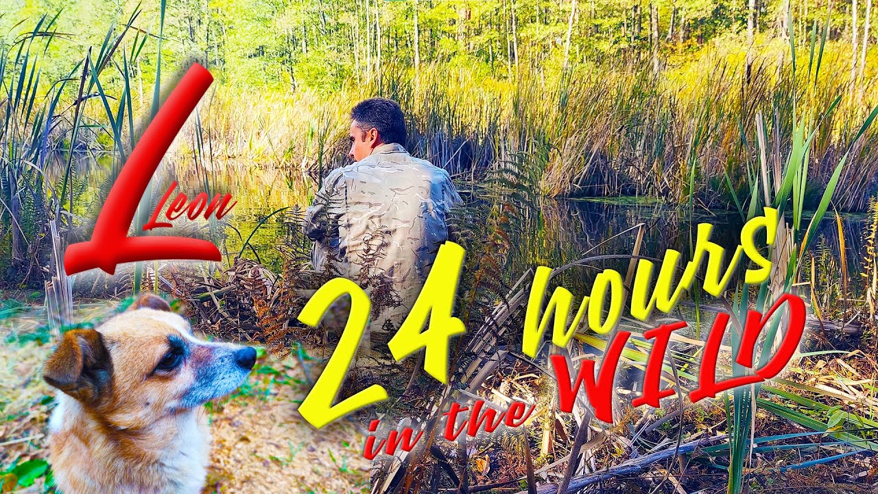 24 HOURS WITH DOG in the WILD. FISHING and METAL DETECTING. UKRAINE ...