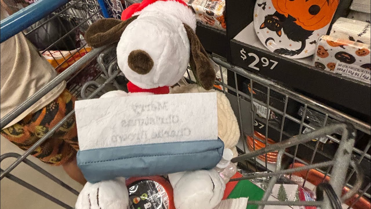 Walmart Christmas 2024 Hatillo Nov 6 - YouTube