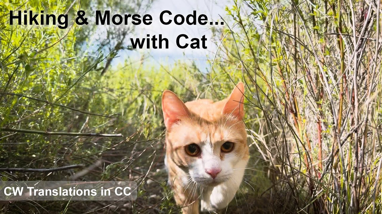 SOTA Cat adds 6 dB to signal | Summits on the Air - YouTube