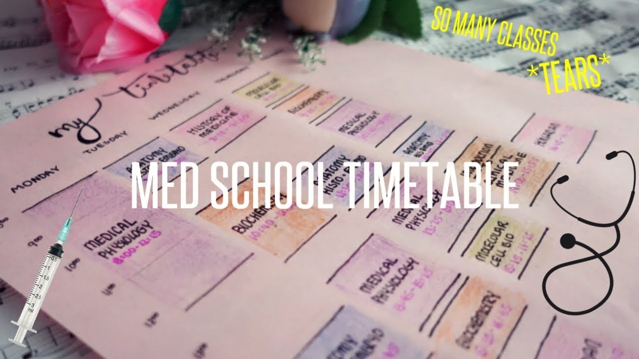 MY MED SCHOOL TIMETABLE / SCHEDULE 🌻 2nd year at Semmelweis University ...
