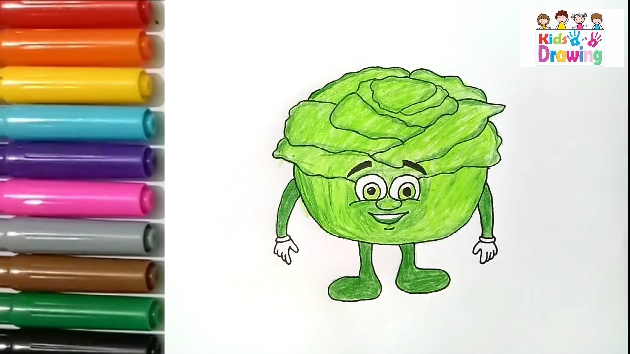 How to draw a cabbage /coloring pages for kids - YouTube