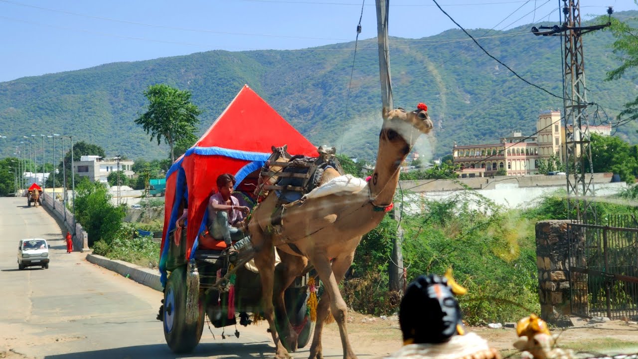 DAY 3 and DAY 4 Jaipur😊 | Rajasthan Travel Vlog | Bangla vlog ...