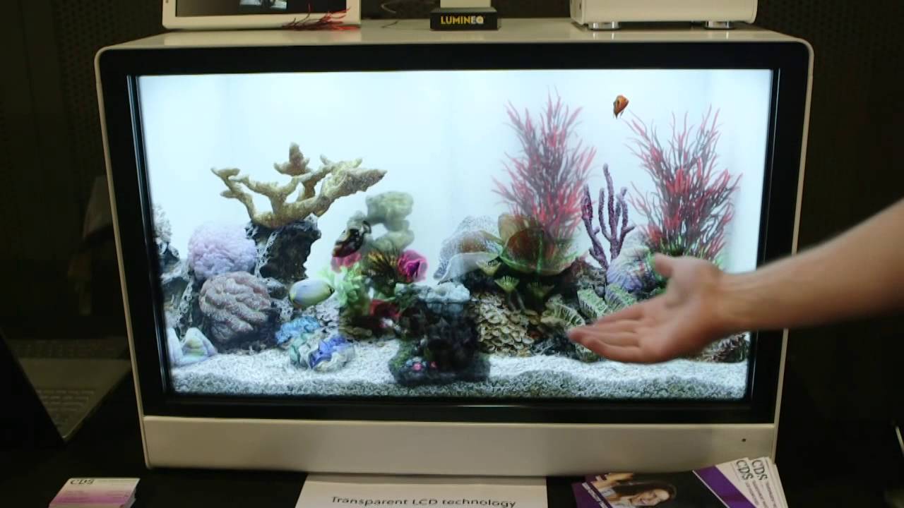 Eye catching Transparent LCD Displays & Unique Digital Signage ...