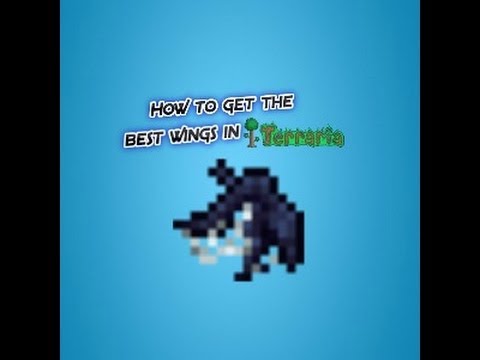 How to get the best wings on Terraria: The Spooky Wings - YouTube