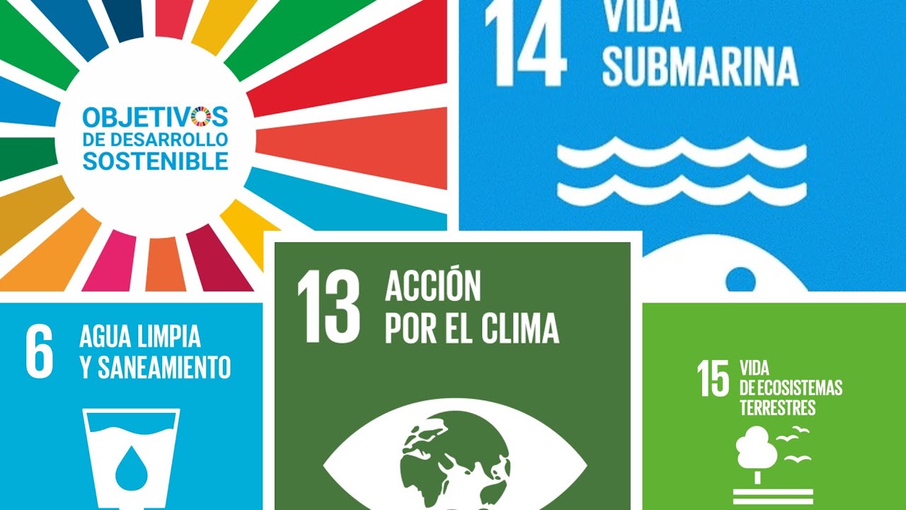 ¿Cuáles son los ODS Ambientales? - Eje Planeta - YouTube