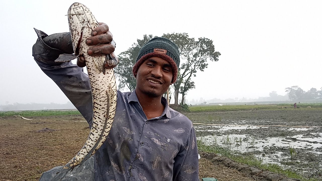 Top Videos: Awsome Fishing / Uniques Fishing / Great Fishing Techniques ...