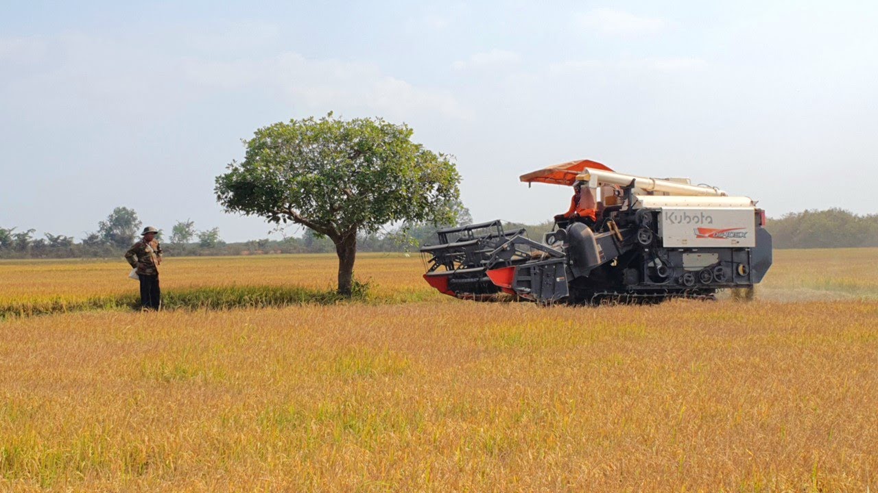 Best Combine Harvesters Operate With Speed Control@tractorandfarmer6491 ...