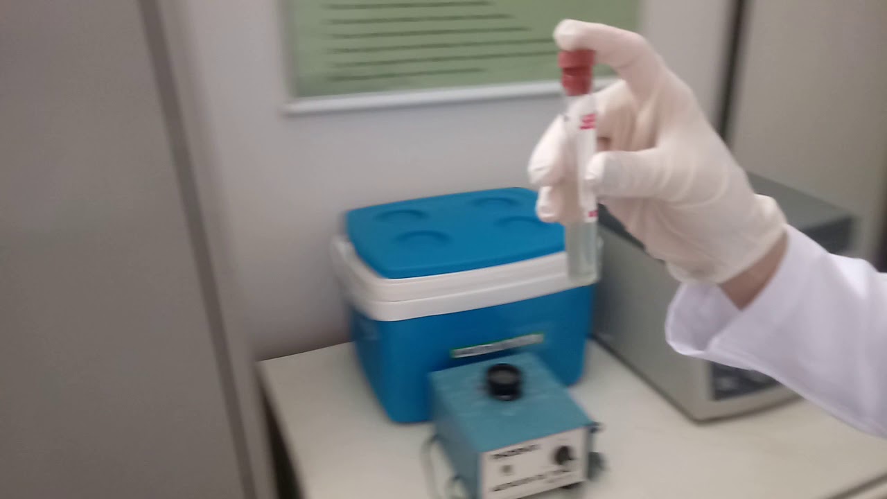 Método de Baermann Moraes - YouTube