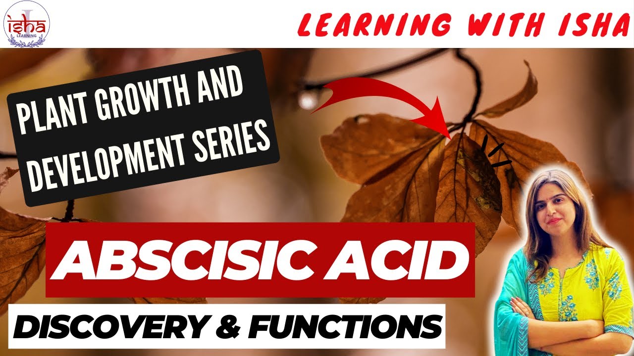 V-10| Abscisic acid (ABA)- Discovery & Functions| Plant hormone | Plant ...