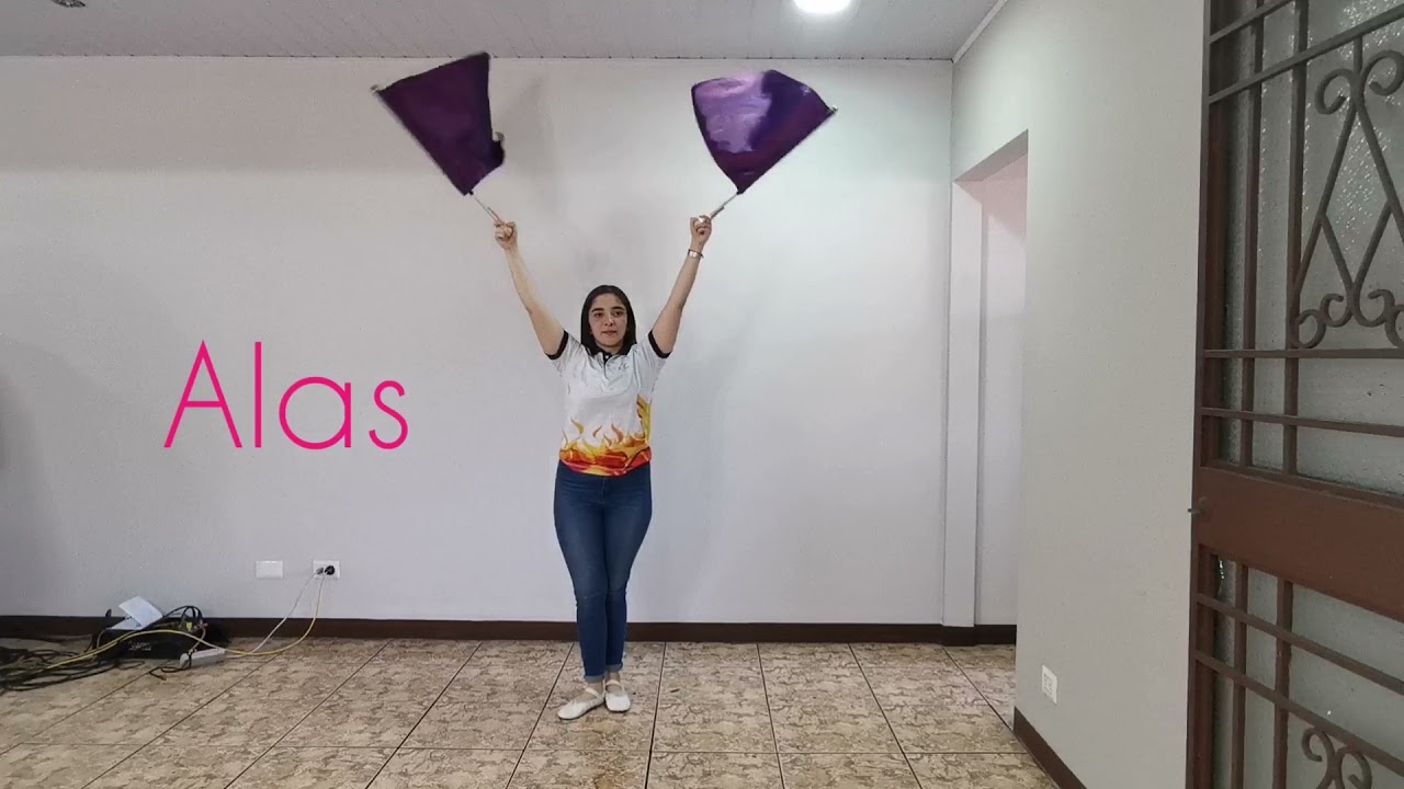 Pasos Básicos/Banderas Principiantes - YouTube