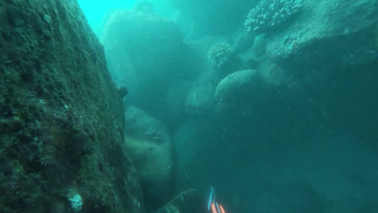 Spearfishing Hawaii - Menpachi and Papio - Hawaiishoots Diving - YouTube