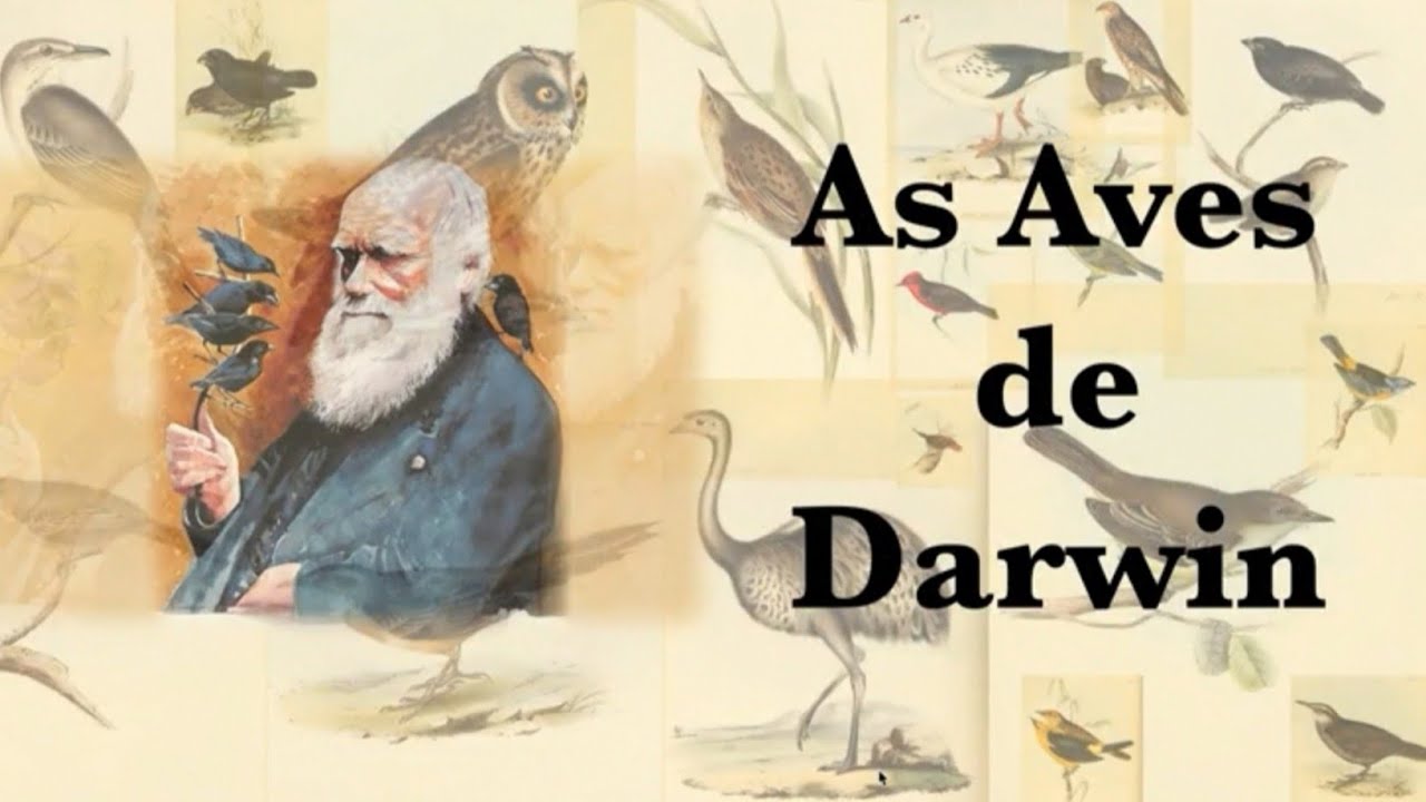 As Aves de Darwin - YouTube