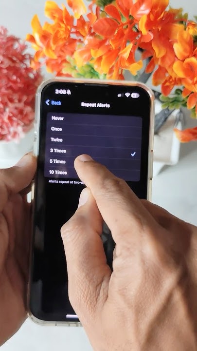 How to Turn On Repeat Alerts for Messages on iPhone | iOS 16 Tips - YouTube