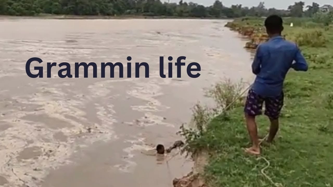 grammin life - YouTube
