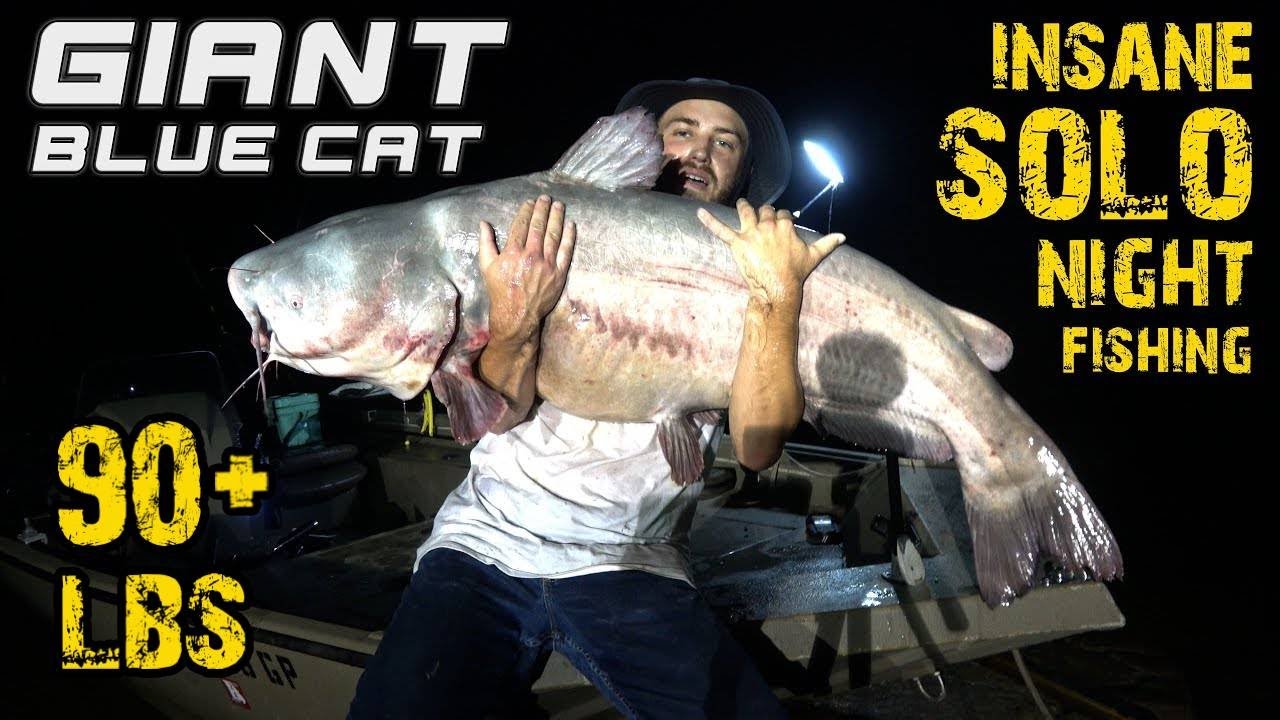 I Did It Again! | Gigantic 90+ LB Blue Cat Caught Solo Night Fishing ...