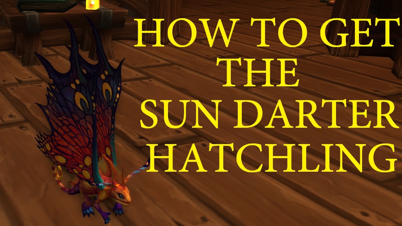 How to get the secret Sun Darter Hatchling pet! | Warcraft - YouTube