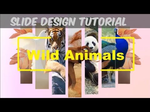 Picture Slide Design #slidedesign - YouTube