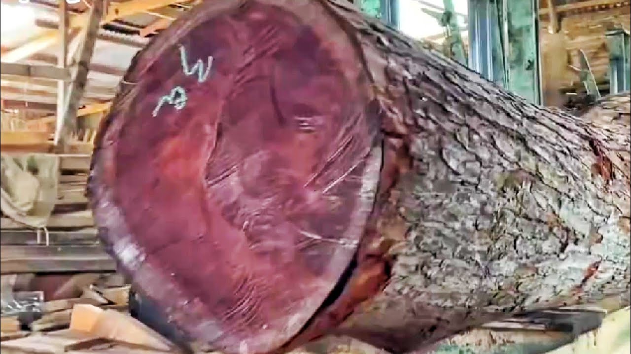 Detailed process of cutting big logs into planks at the sawmill - YouTube