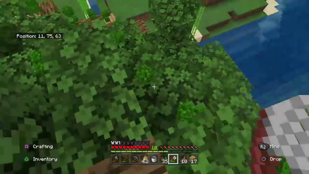 Minecraft survival (Level 15) - YouTube