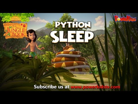 Python's Sleep | English stories । जंगल बुक | पॉवरकिड्स - YouTube