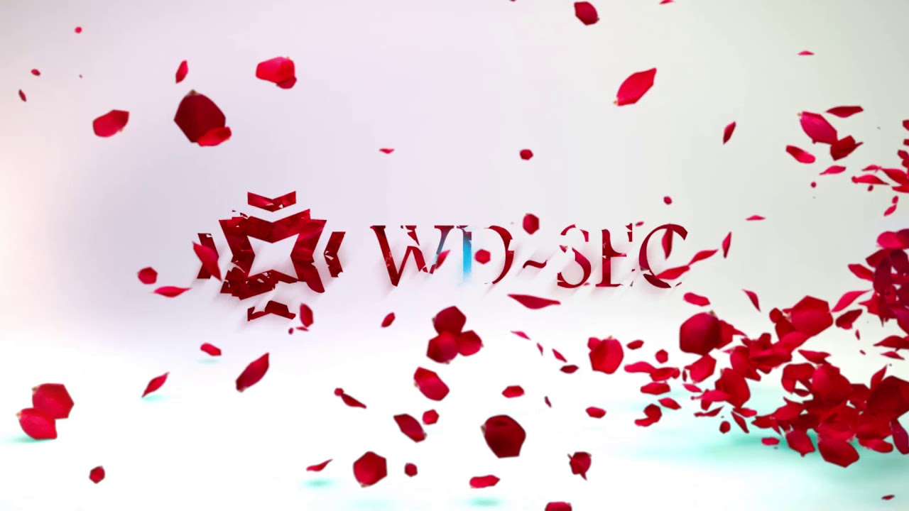 Webdesigningseo Red Rose Petal Intro and Logo - YouTube