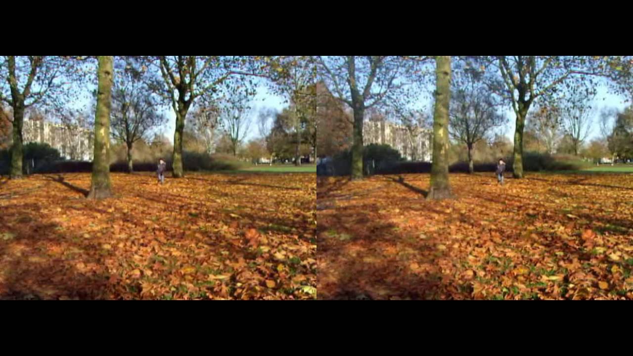 How Many Trees YouTube how-many-trees-youtube