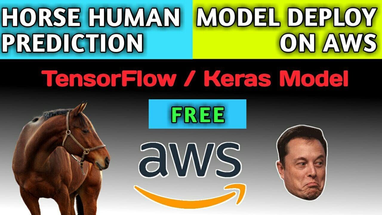Deploy TensorFlow Keras Model on AWS | 📸8: Horse or Human Prediction ...