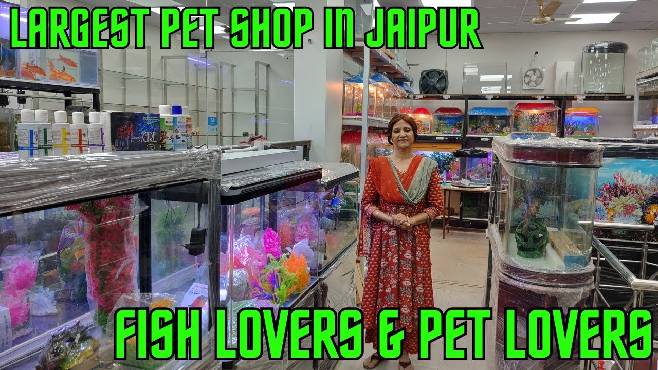 Biggest Pet Shop In Jaipur Rajasthan Fish Lovers Latest Molded biggest-pet-shop-in-jaipur-rajasthan-fish-lovers-latest-molded