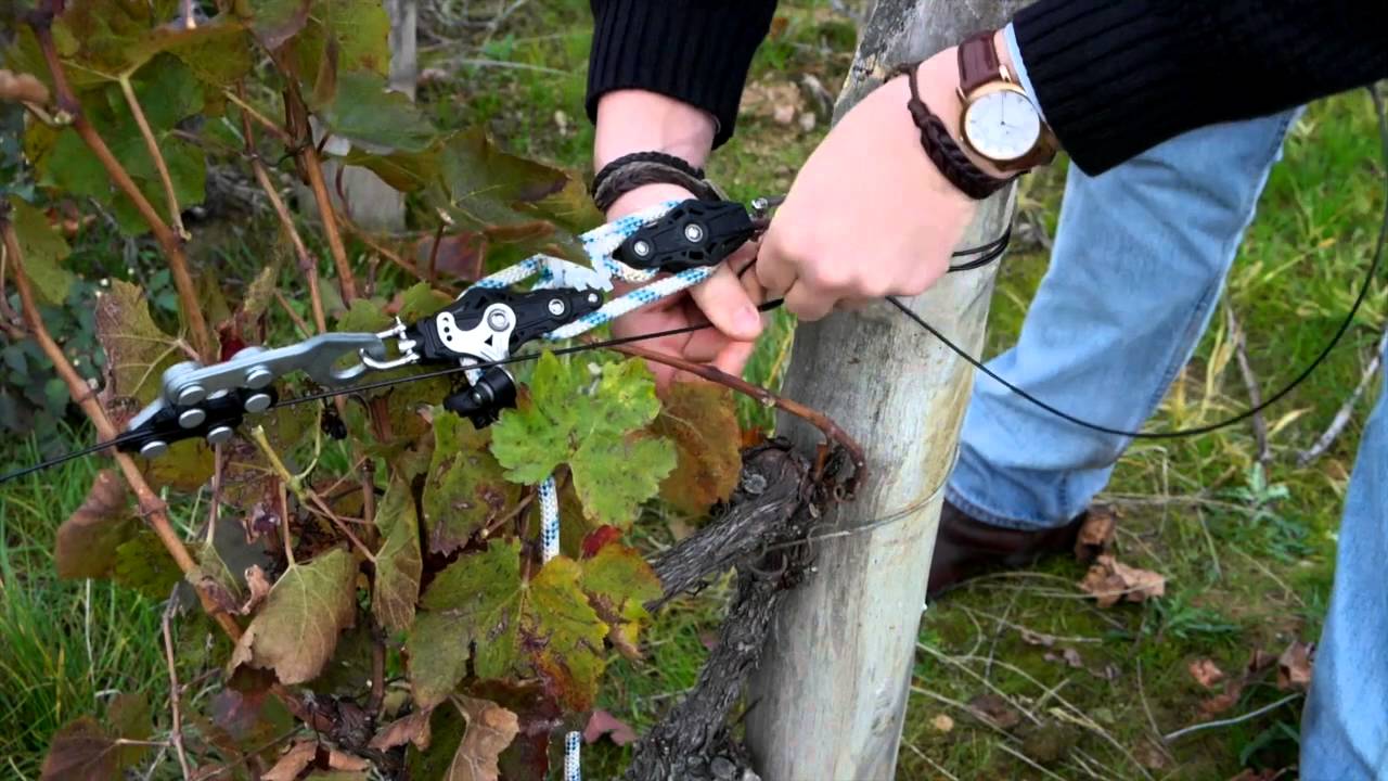 ISL Installation in Vineyards - YouTube