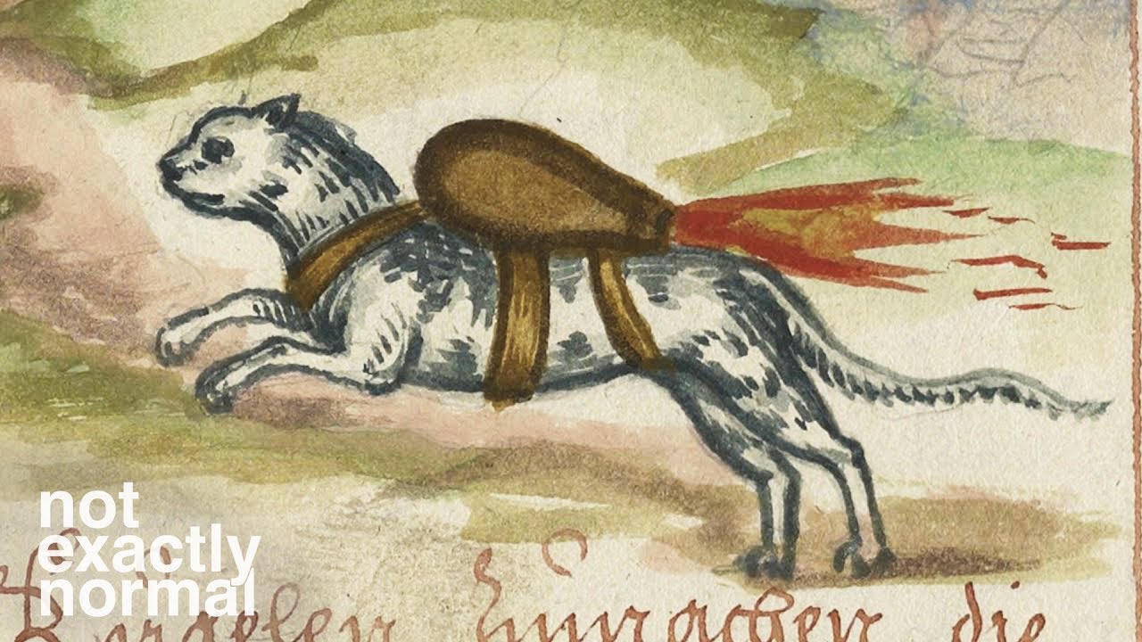 Rocket Cats, Bat Bombs and Pigeon Missiles - YouTube