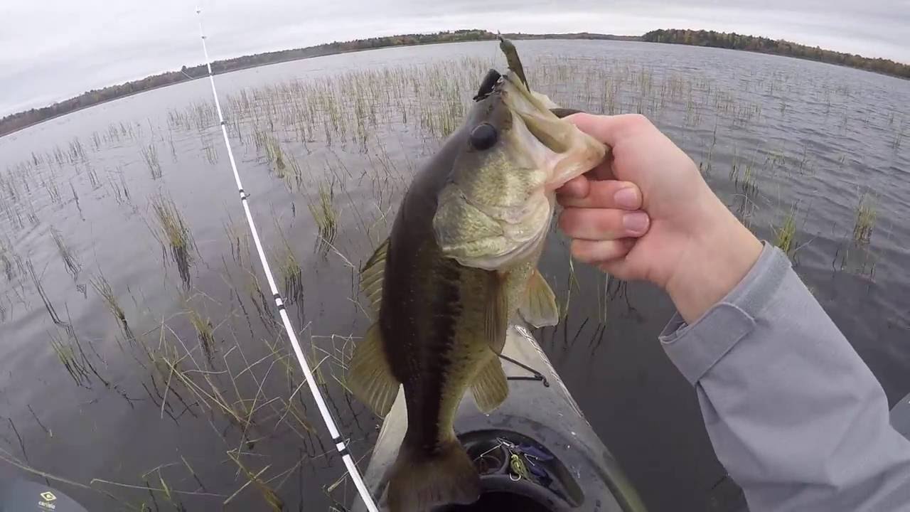 GoPro Fall Bass Fishing in Maine - YouTube