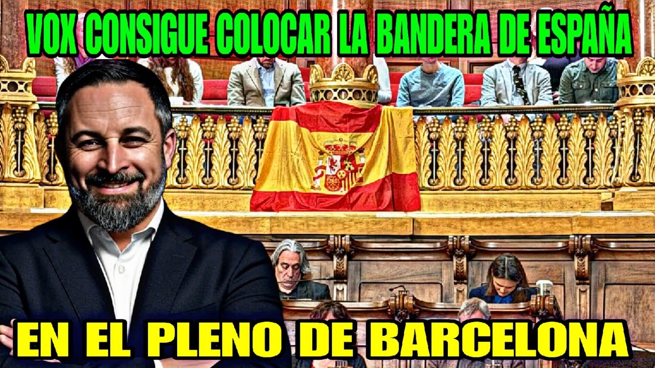 LA BANDERA ESPAÑOLA VUELVE ESTAR PRESENTE POR VOX EN EL PLENO DEL ...