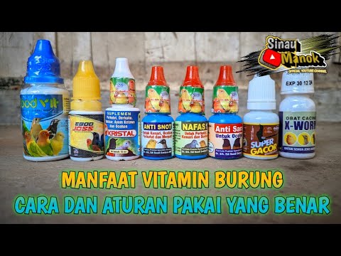 MANFAAT EBOD VIT DAN CARA PENGGUNAAN DENGAN BAIK DAN BENAR