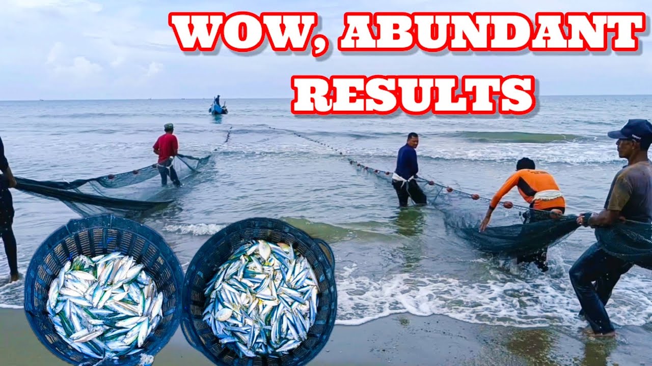 😱 Huge Catch! Fishermen Get an Abundant Harvest on the Beach! - YouTube
