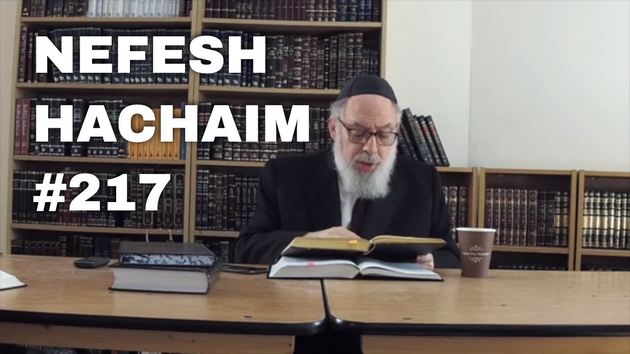 Perakim Ch. 8 (part 1) | Rabbi Yaacov Haber | Nefesh HaChaim #217 - YouTube