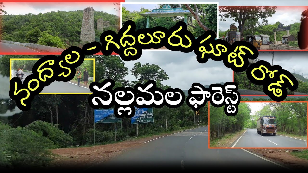 Nandyal to Giddalur Ghat Road Ride | Nallamala Forest | నంద్యాల ...