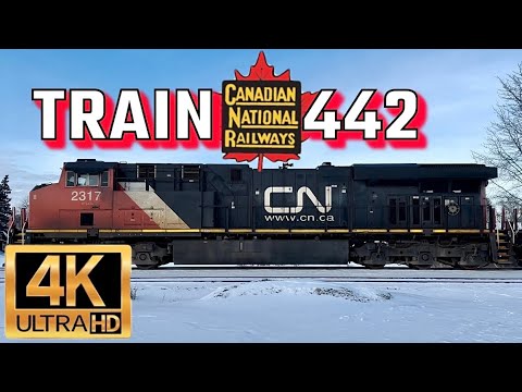 Canadian National Railway: Train 442 in Motion Southbound - YouTube
