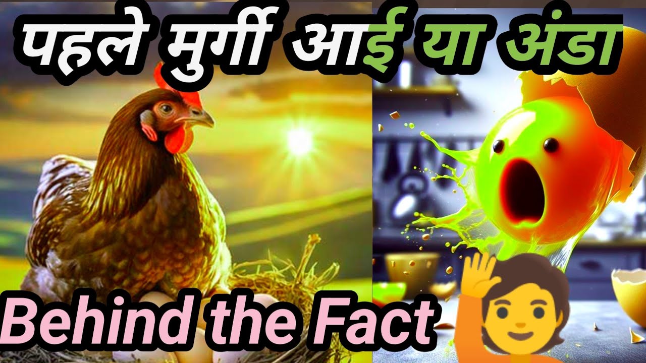 Which came first Hen or egg | पहले मुर्गी आई या अंडा। # ...
