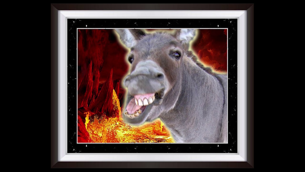 Donkey from Hell - YouTube