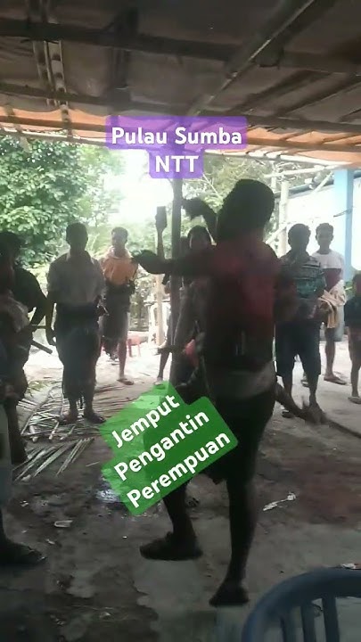Prosesi adat di pulau Sumba NTT - YouTube