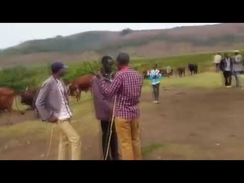 IMURENGE AMASEZERANO ARASOHOYE HARUBATSWE