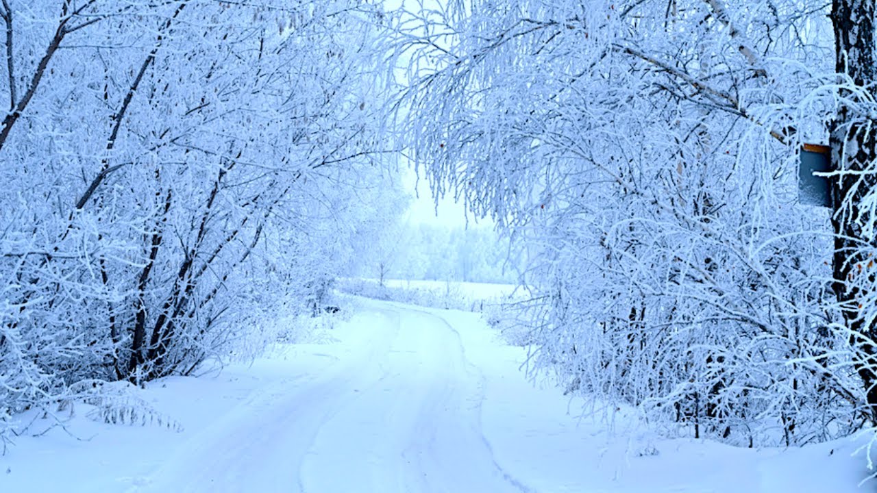 Calm Music With Beautiful Winter Footage | Relax Music for Studying ...