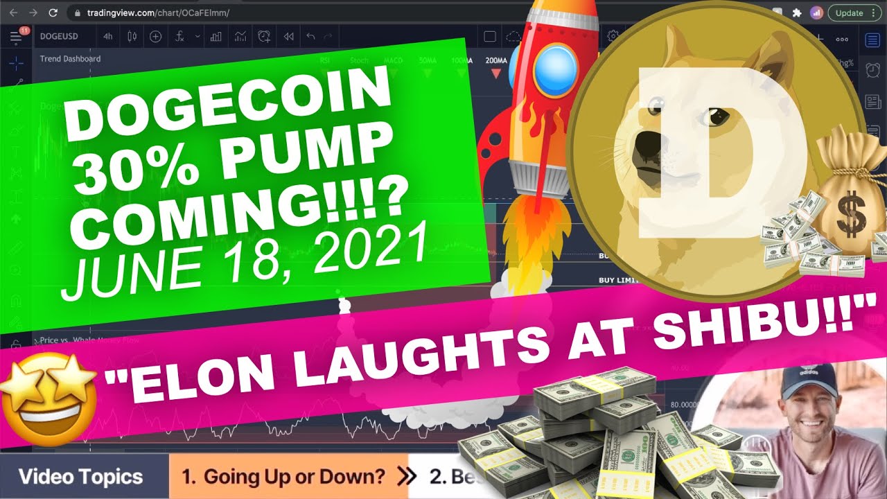 DOGECOIN - "Possible 30% Pump Coming!" Elon Musk Laughs at Shiba ...