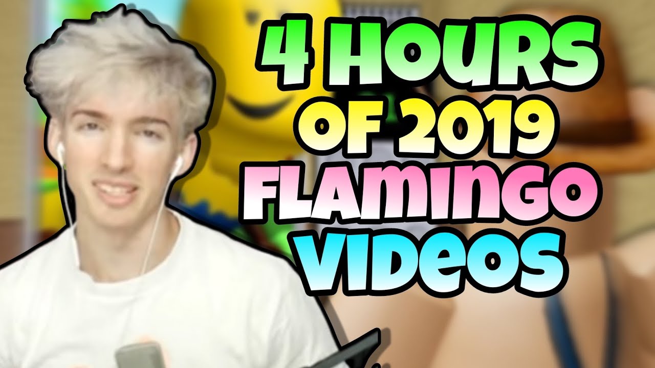 *4 HOURS* OF 2019 FLAMINGO VIDEOS (TO FALL ASLEEP!) - YouTube