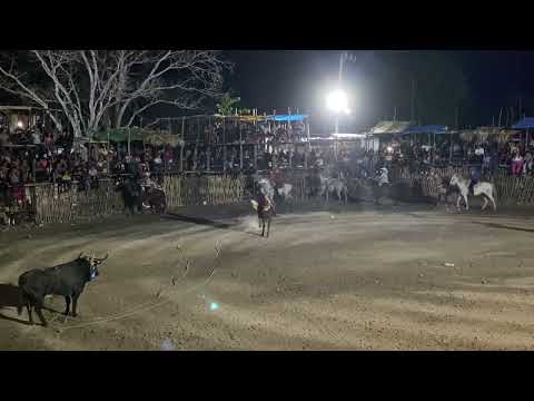 Holca 2024- Bombón de Rancho las Cruces - YouTube