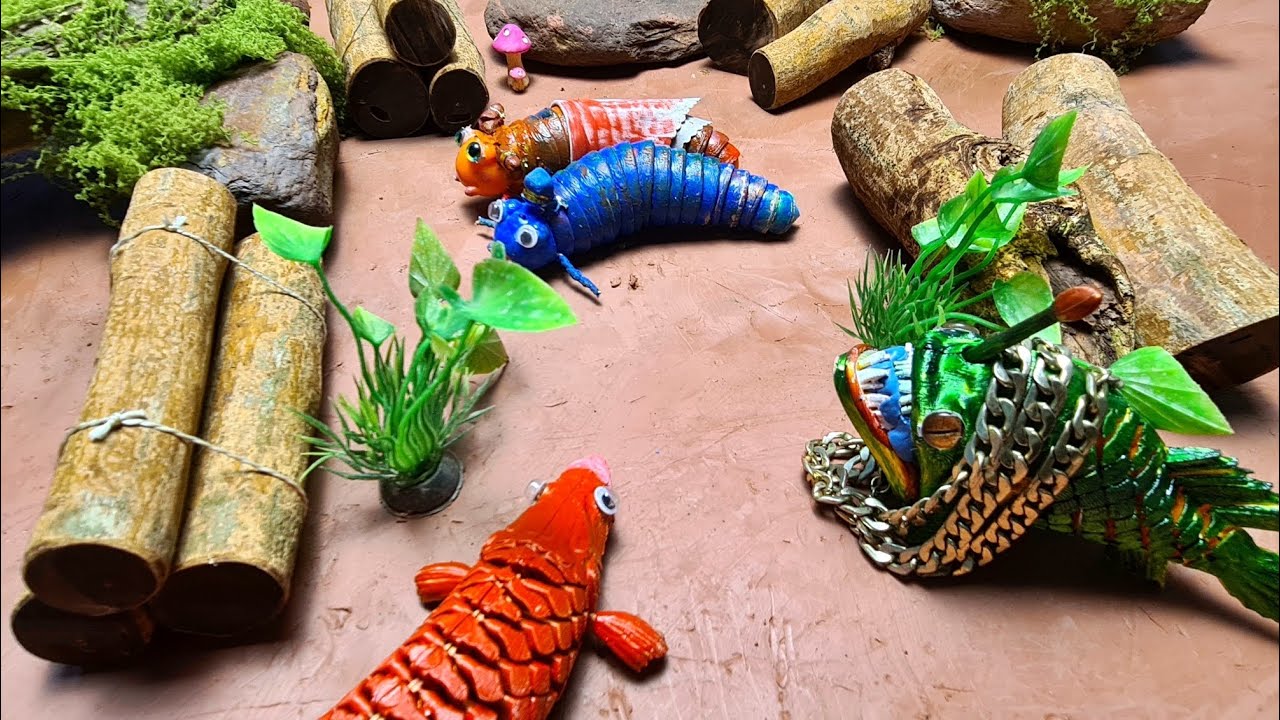 Stop Motion ASMR: Video about Fish, Shrimp, Worms - Full Video - YouTube