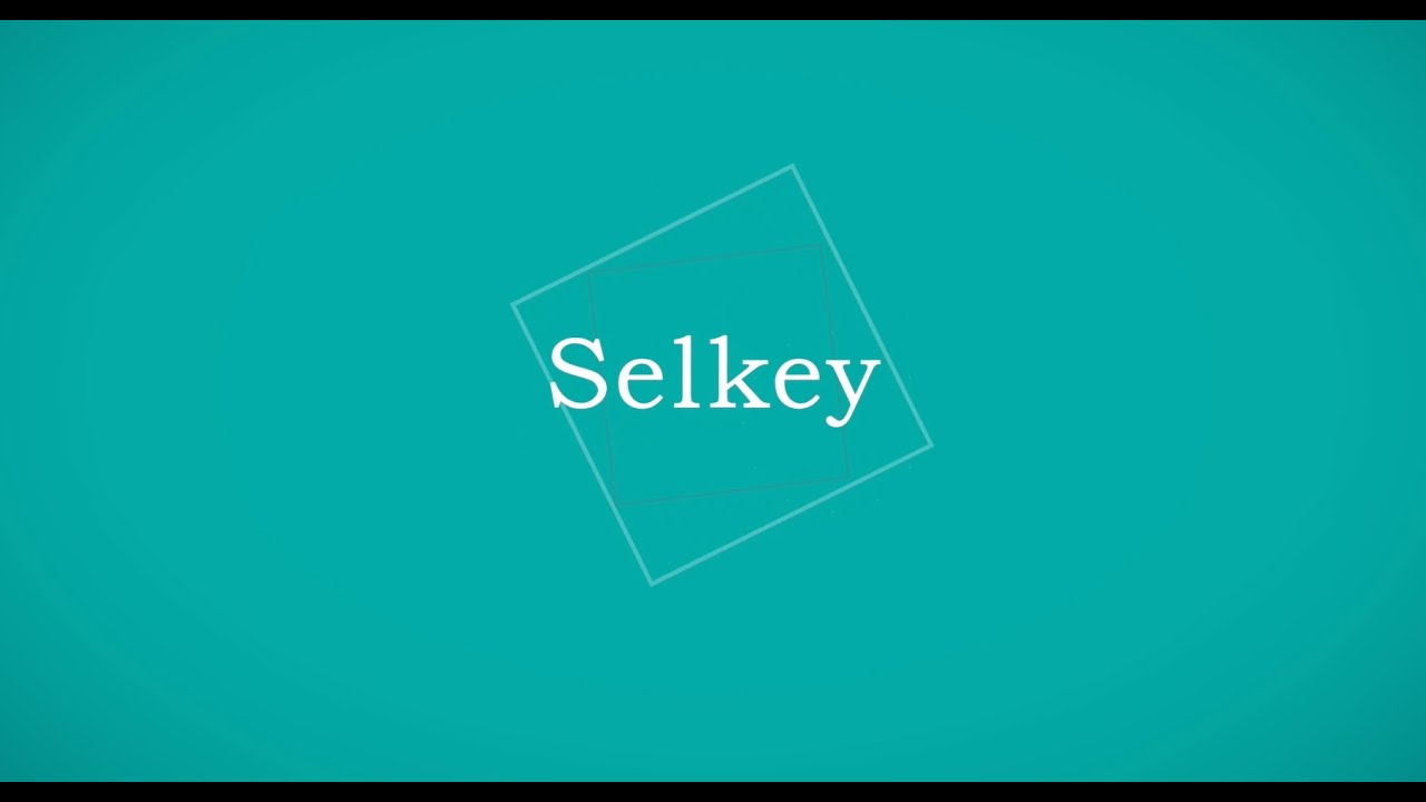 Selkey～サービス説明～ - YouTube
