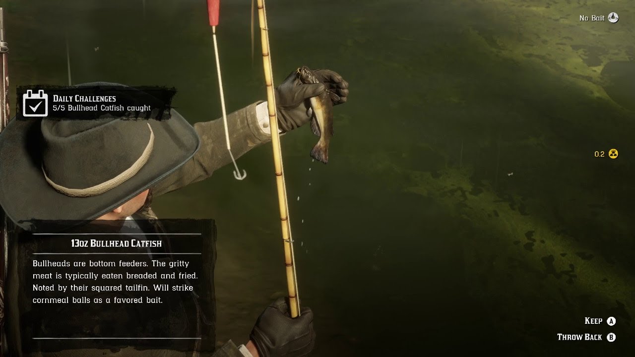 Red Dead Redemption 2 Good Place For Bullhead Catfish! - YouTube